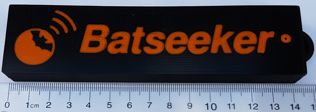 Bat Adventures and Bat Detectors | Lizzie Violet